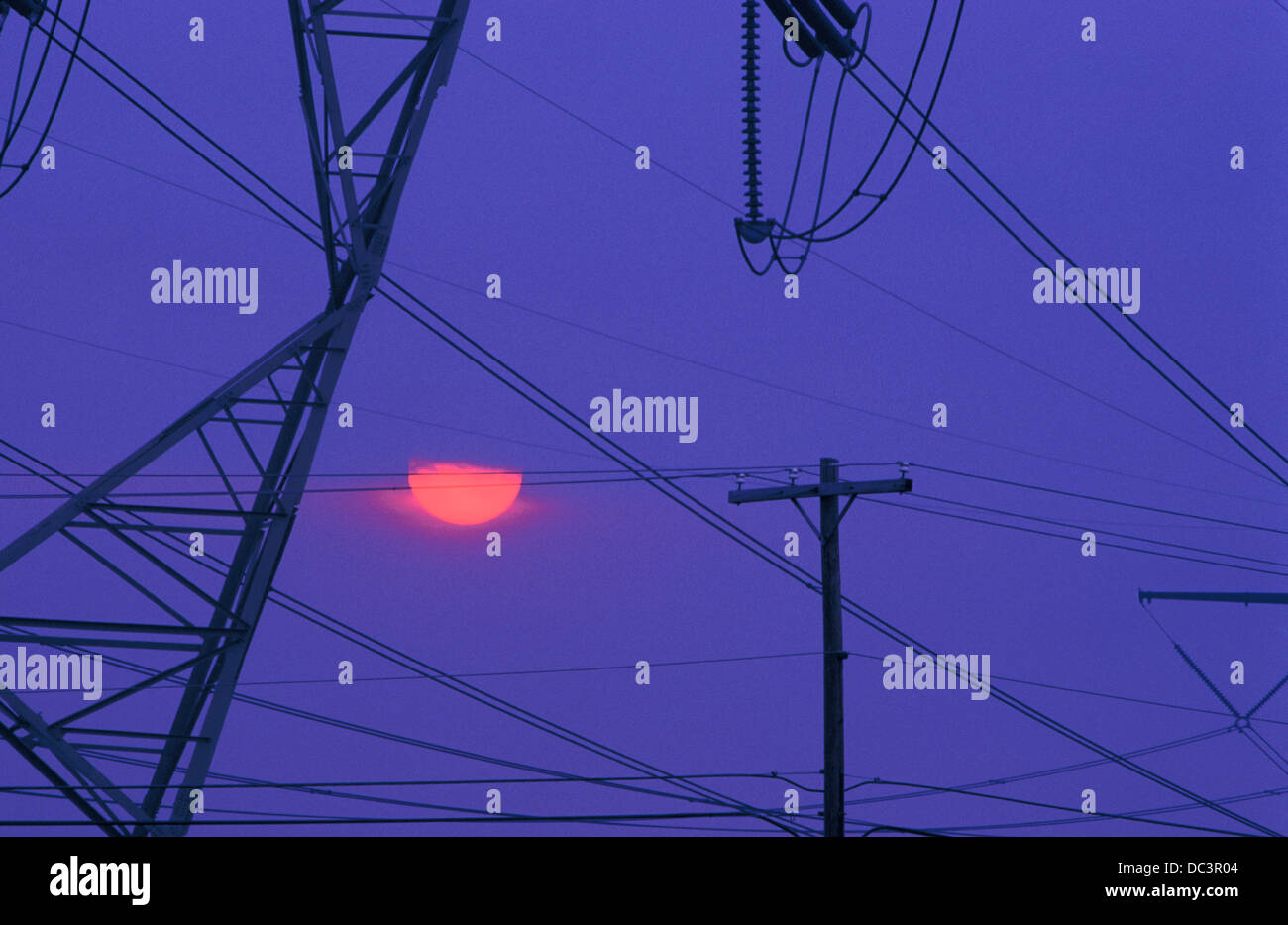 Spider web tower hi-res stock photography and images - Alamy