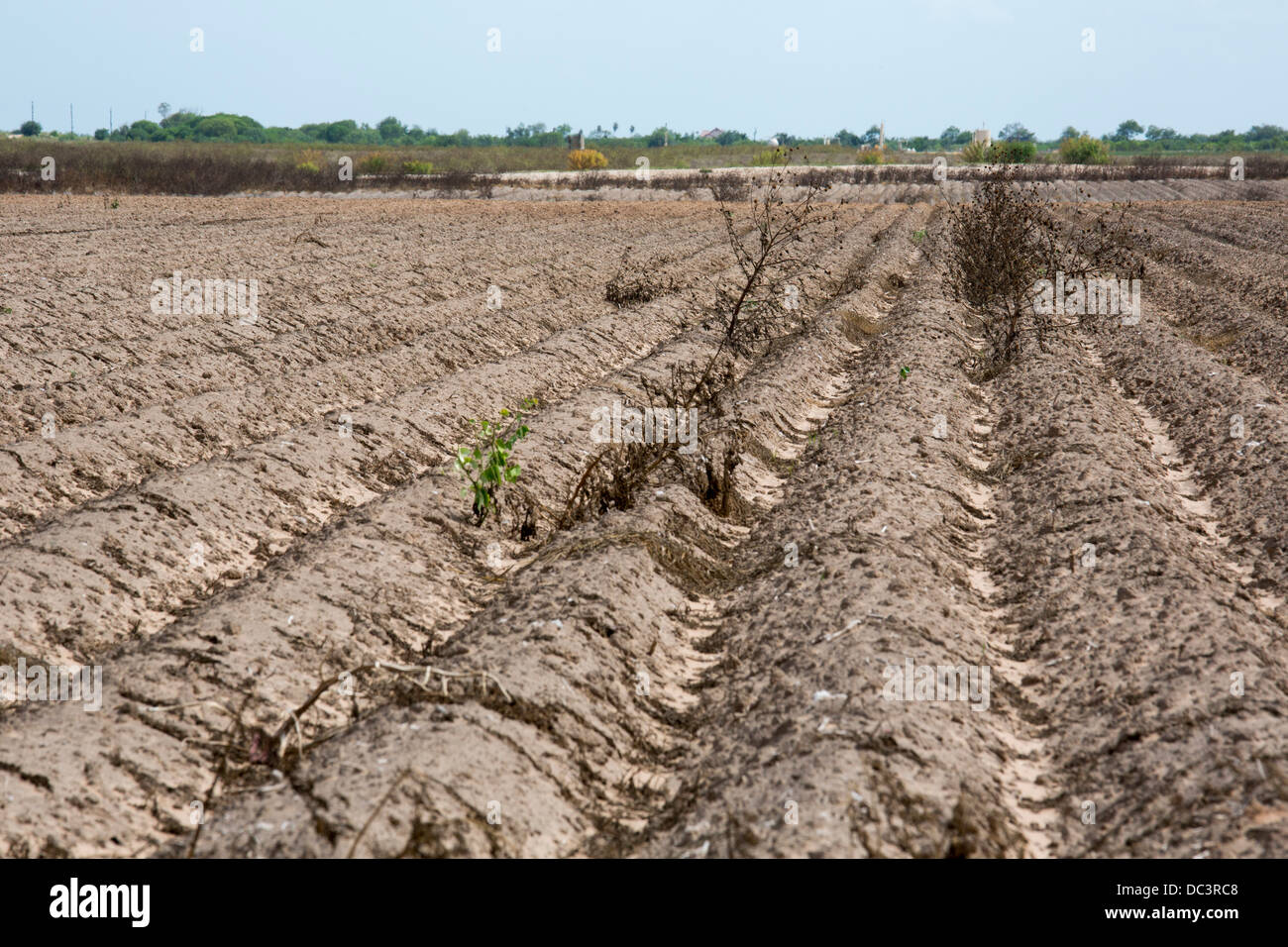 Unplanted hi-res stock photography and images - Alamy
