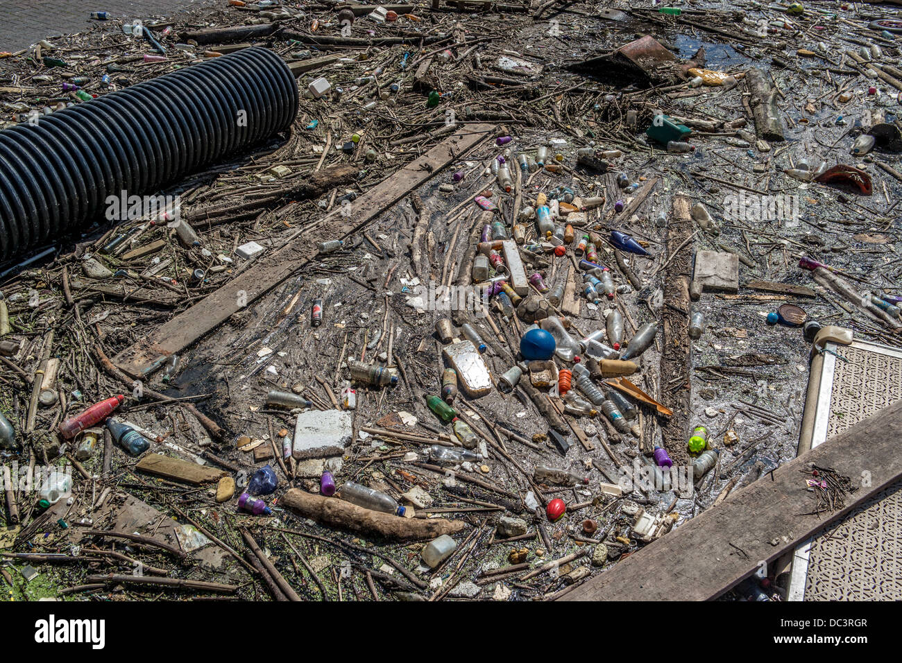 Floating rubbish in the water at Salford Quays Stock Photo - Alamy