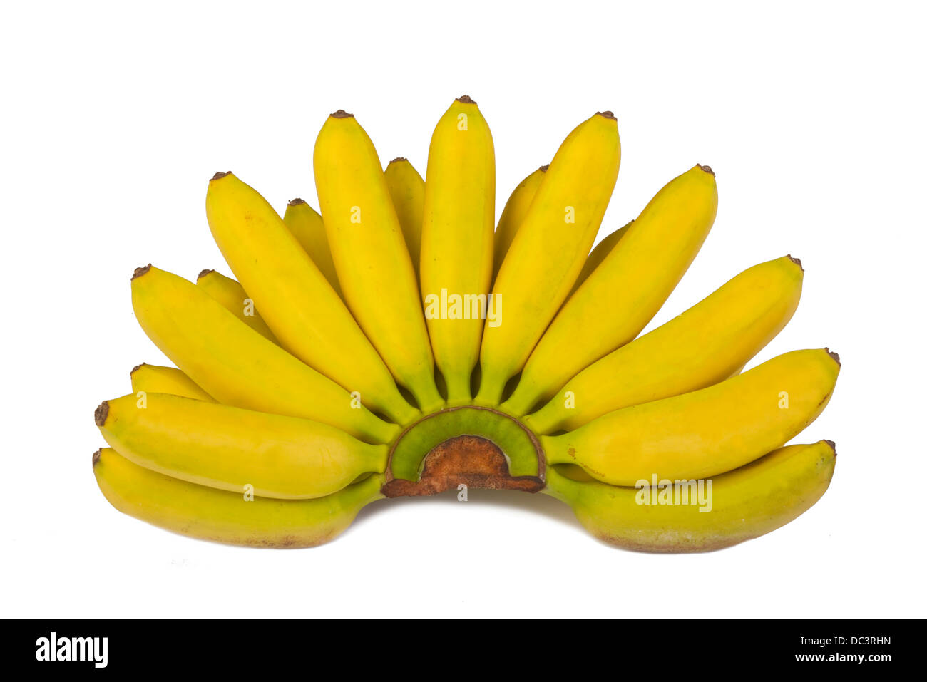 Bananas right of the banana tree Stock Photo - Alamy