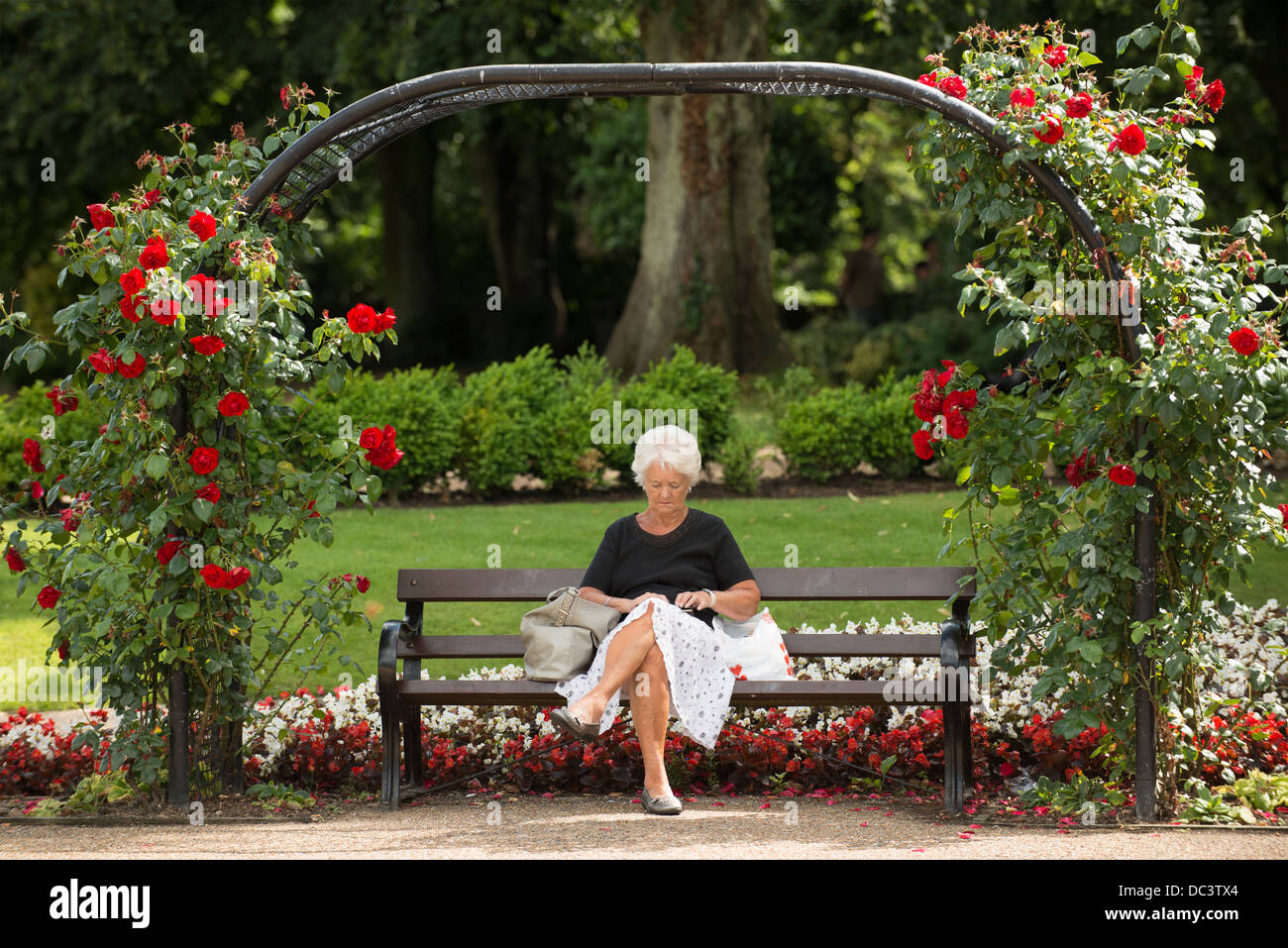 Lady seated hi-res stock photography and images - Alamy