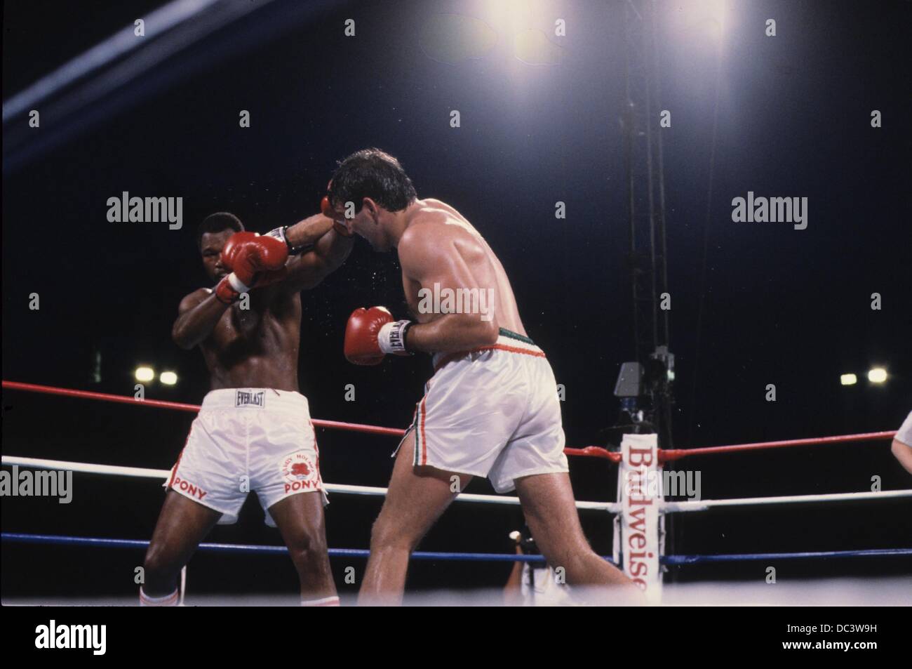 LARRY HOLMES VS Gerry Cooney fight.29438.(Credit Image: © Herb ...