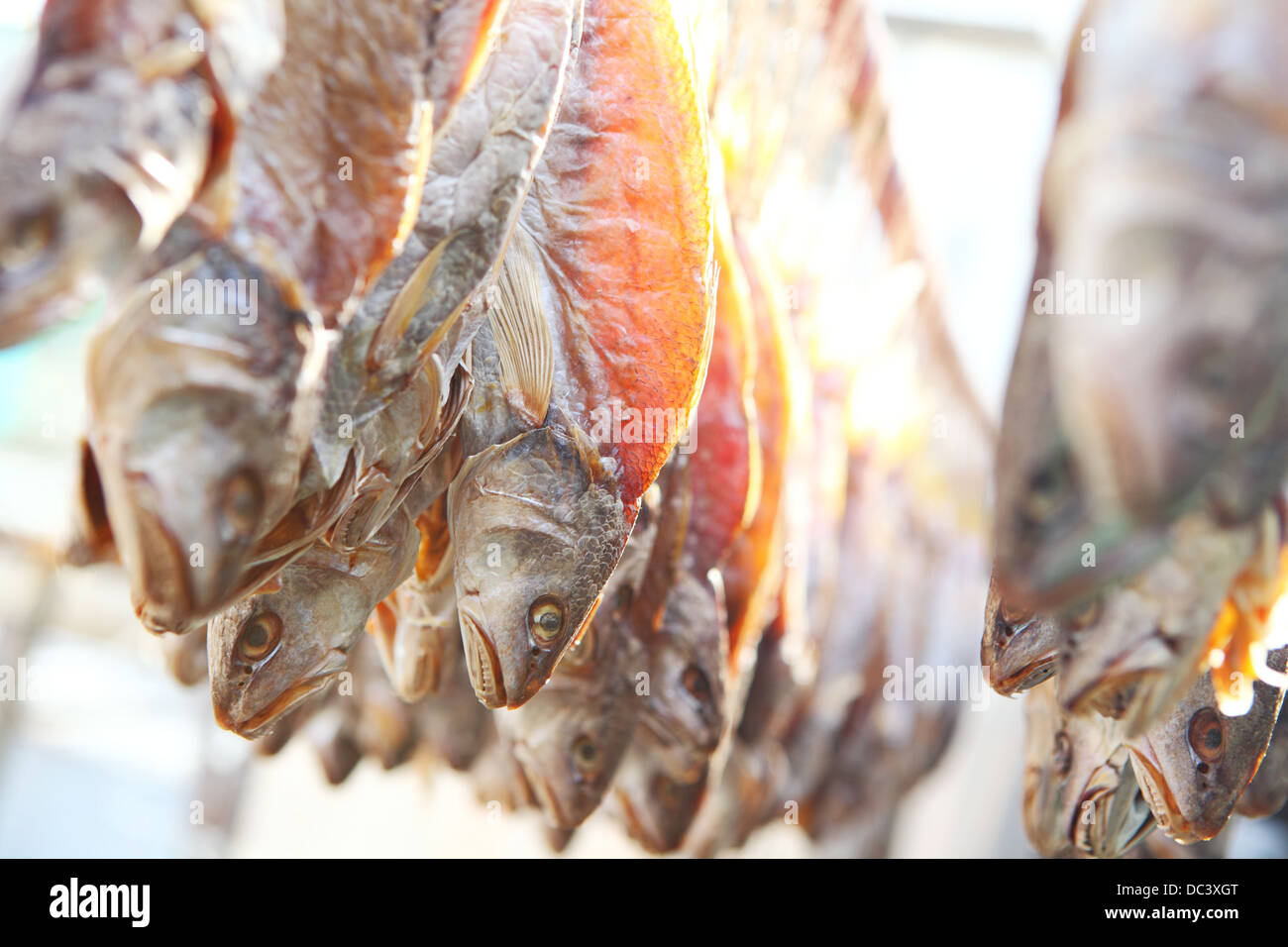 dry salt fish Stock Photo - Alamy