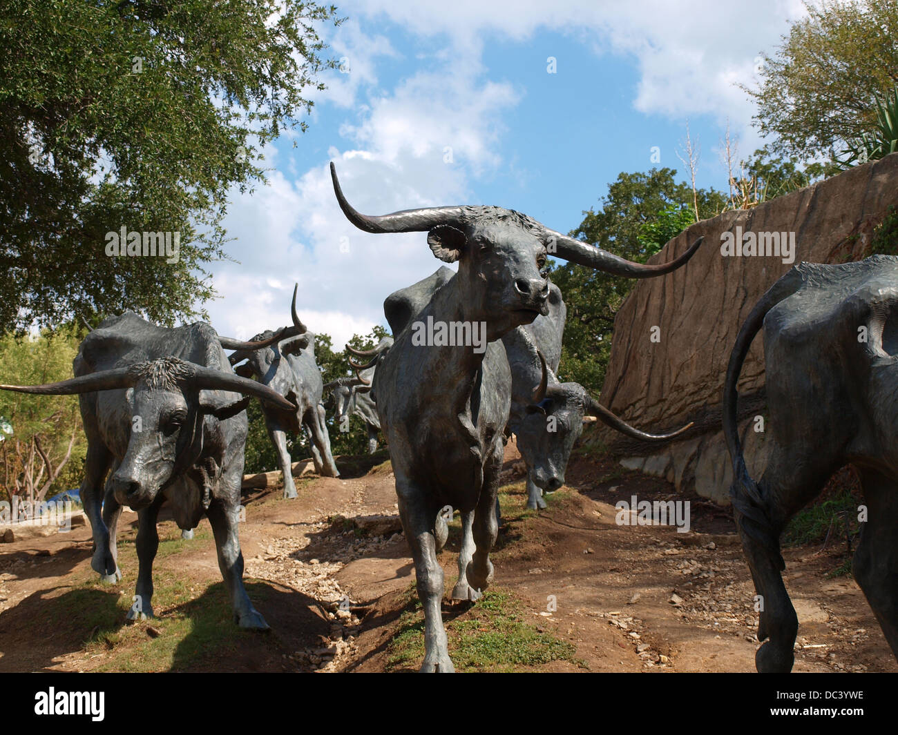A life size cattle drive in bronze in Pioneer Park and Cemetery in ...