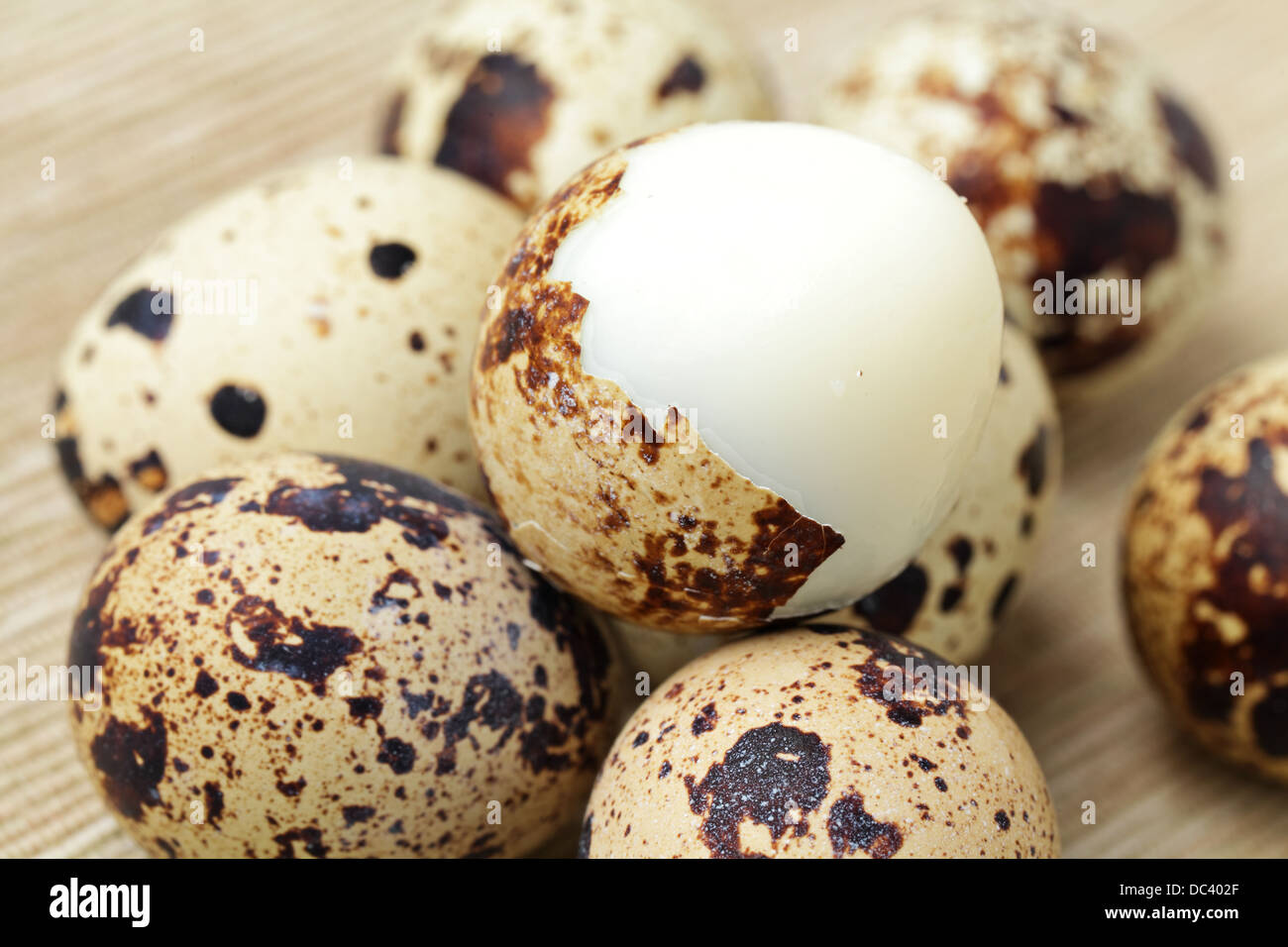 Intact egg shell hi-res stock photography and images - Alamy