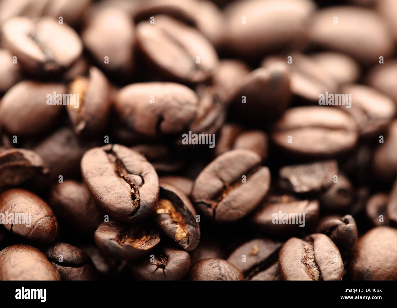 Arabic bean hi-res stock photography and images - Alamy