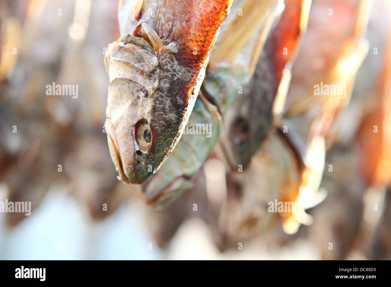 dry salt fish Stock Photo - Alamy