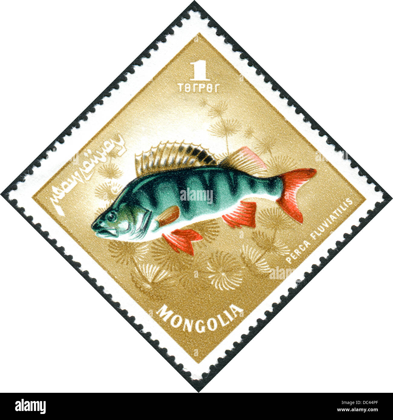 MONGOLIA - CIRCA 1965: A stamp printed in Mongolia, shows European ...
