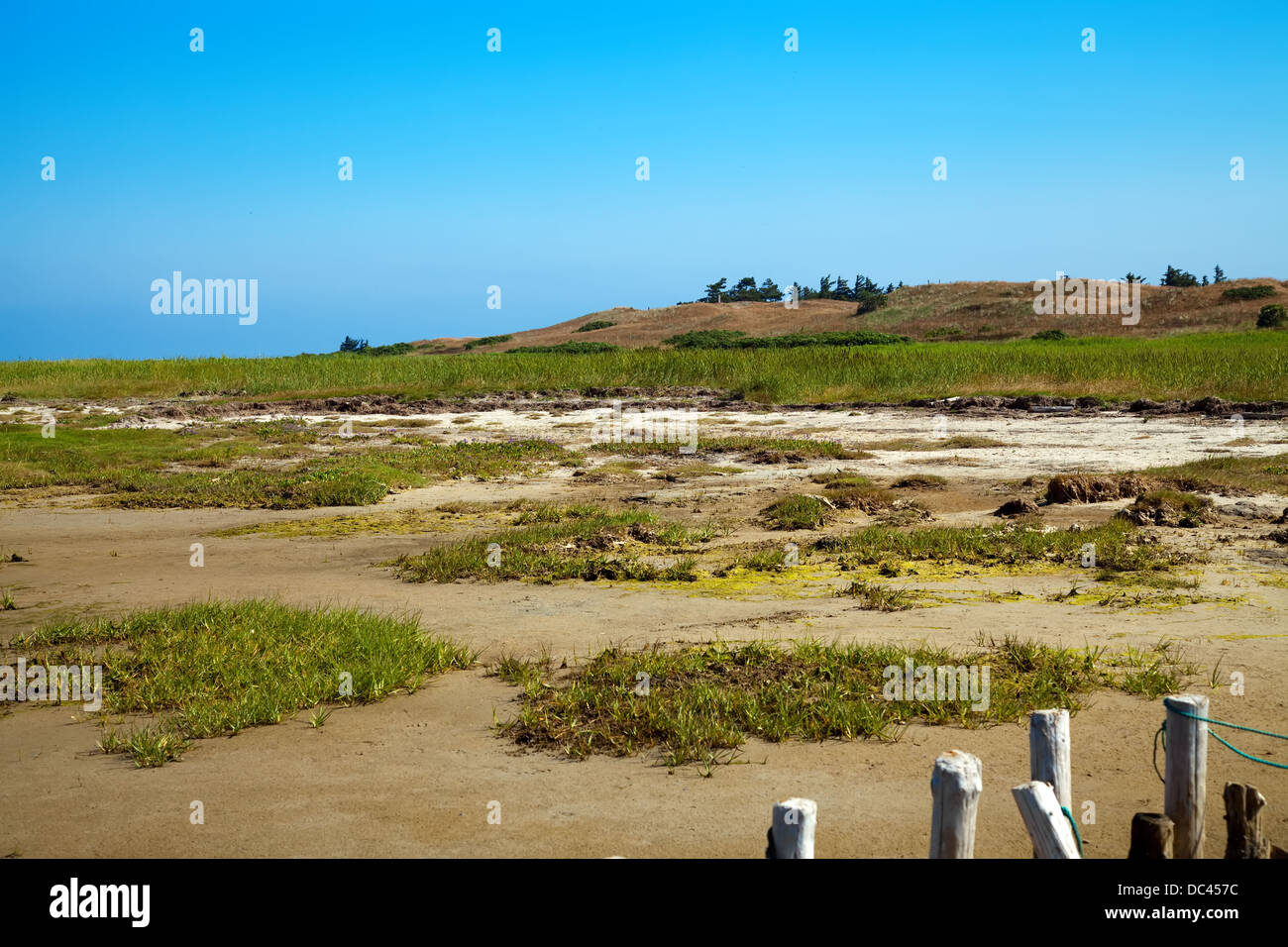 danish wadden sea national park Stock Photo - Alamy