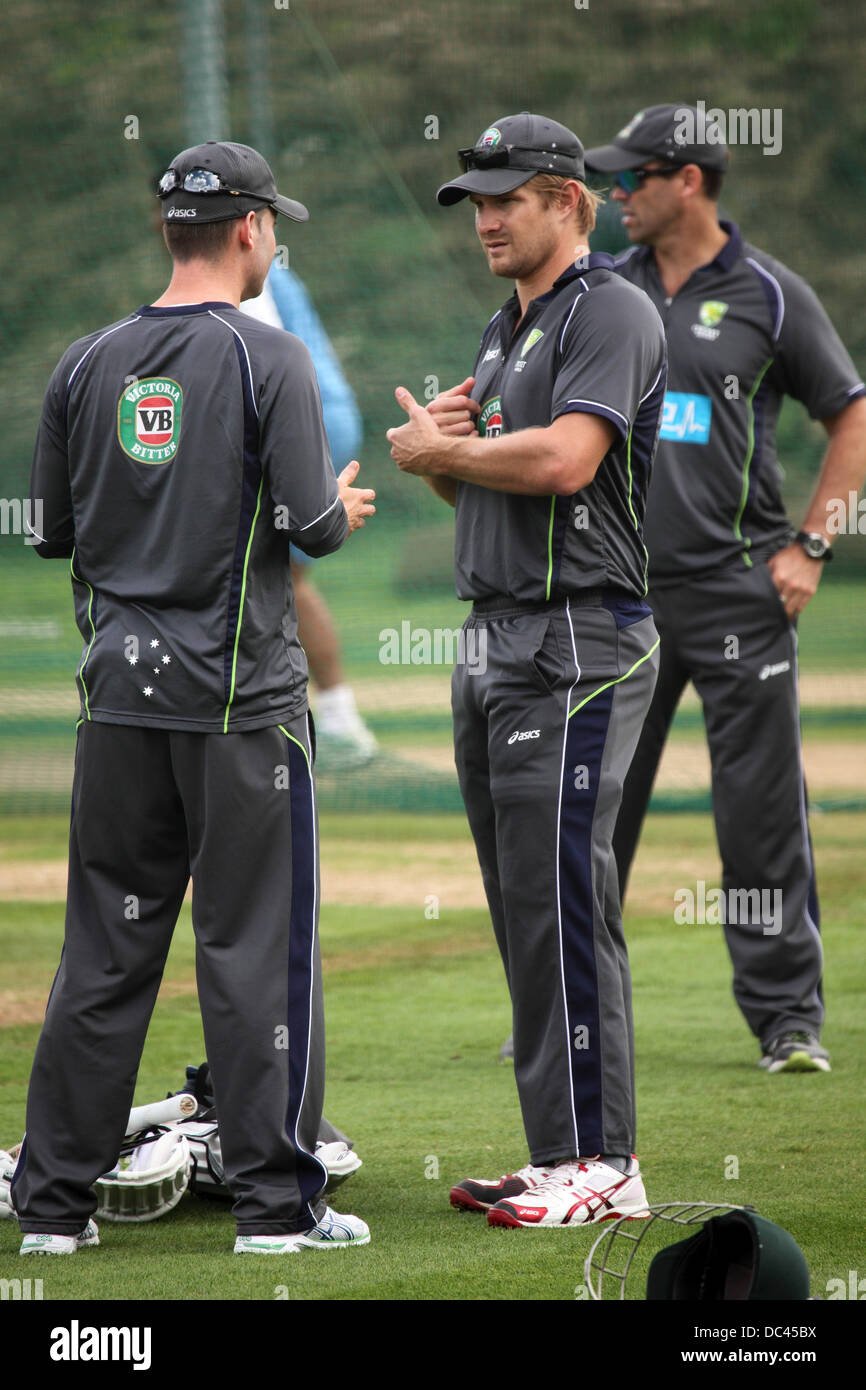 Shane Watson Cricket