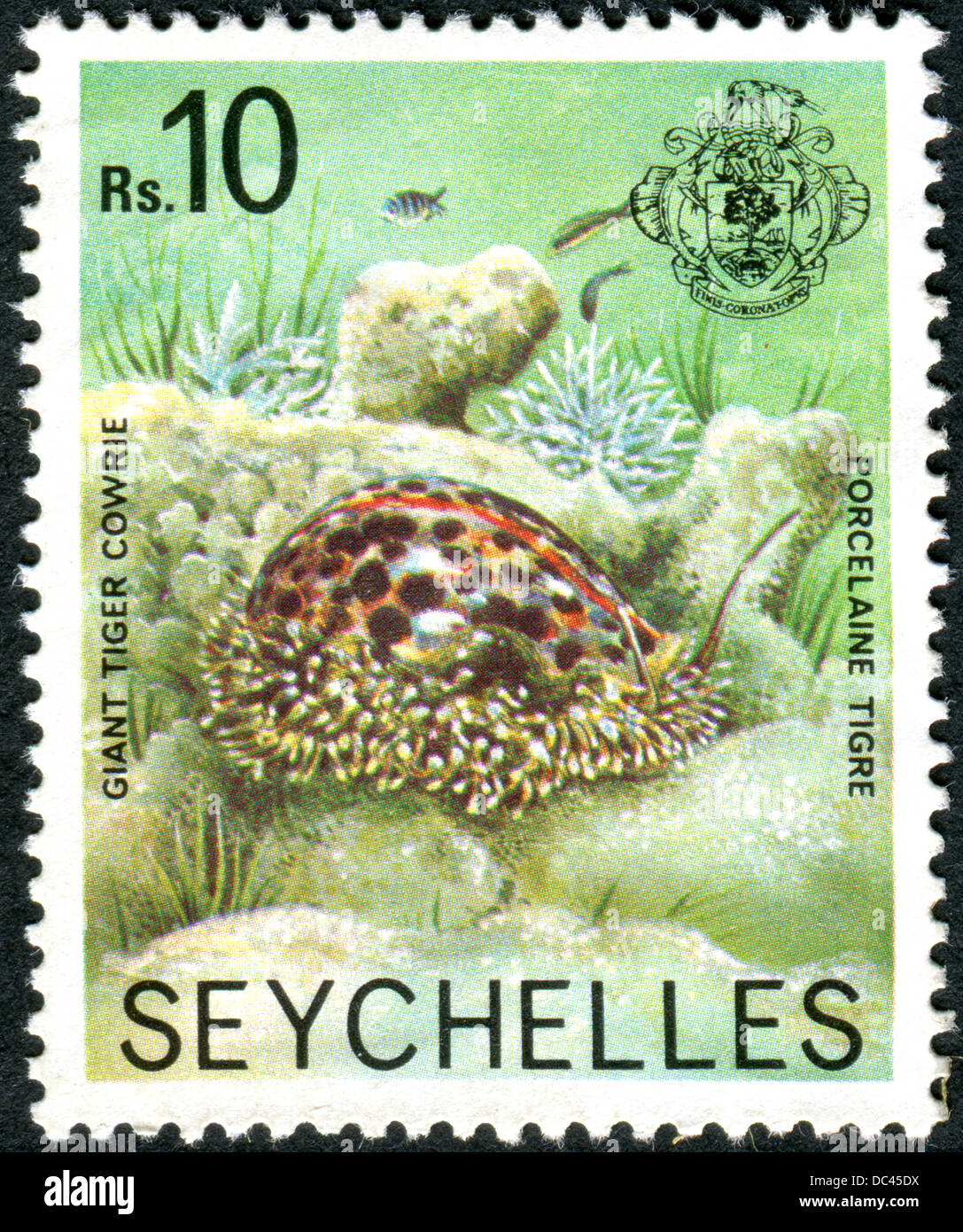 SEYCHELLES - CIRCA 1978: A stamp printed in the Seychelles, is shown ...