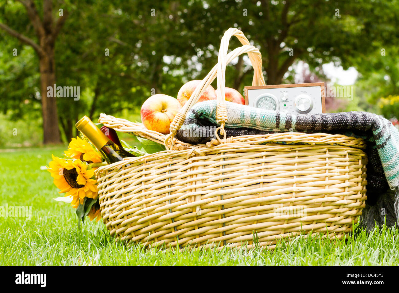 Summer picnic with a basket of food in the park Stock Photo - Alamy