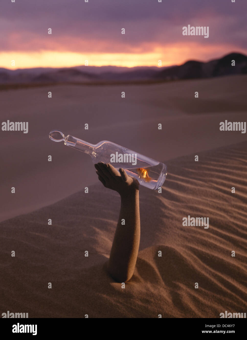 Desert fish hi-res stock photography and images - Alamy