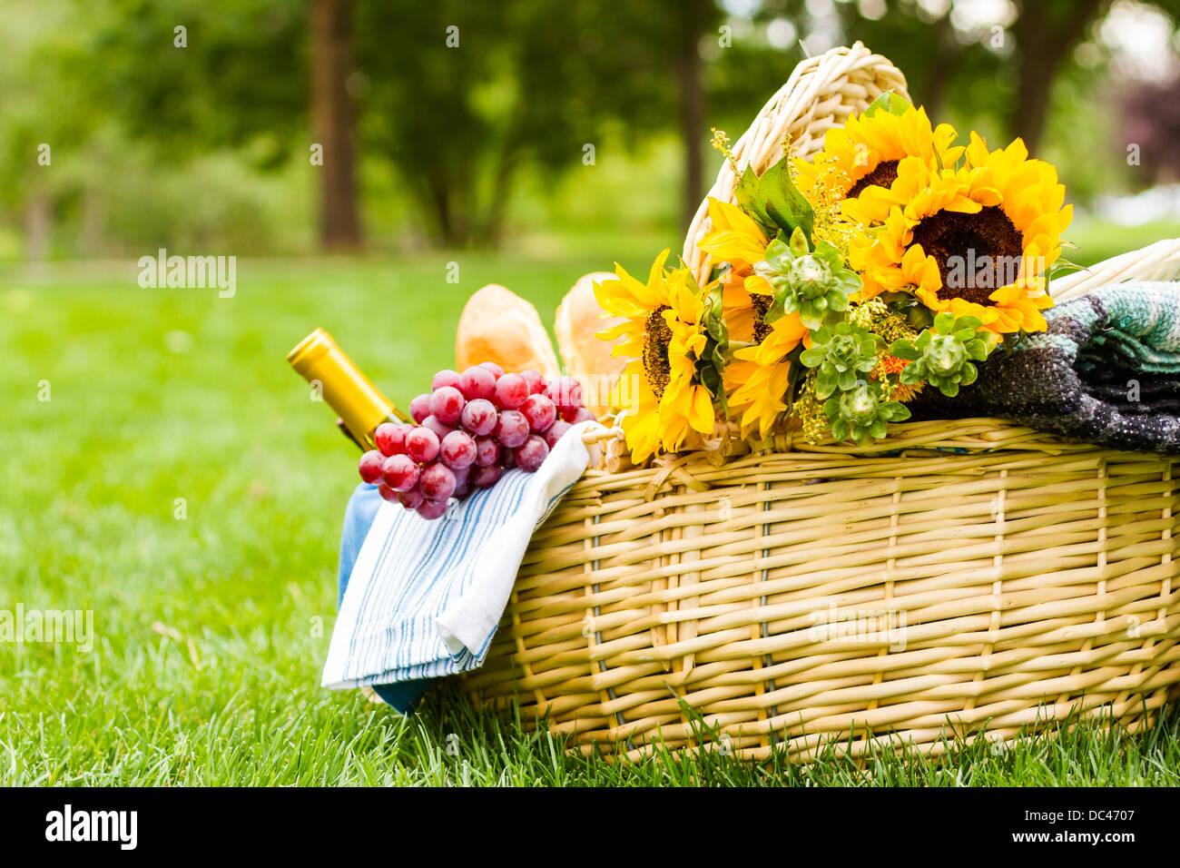 Summer picnic with a basket of food in the park Stock Photo - Alamy