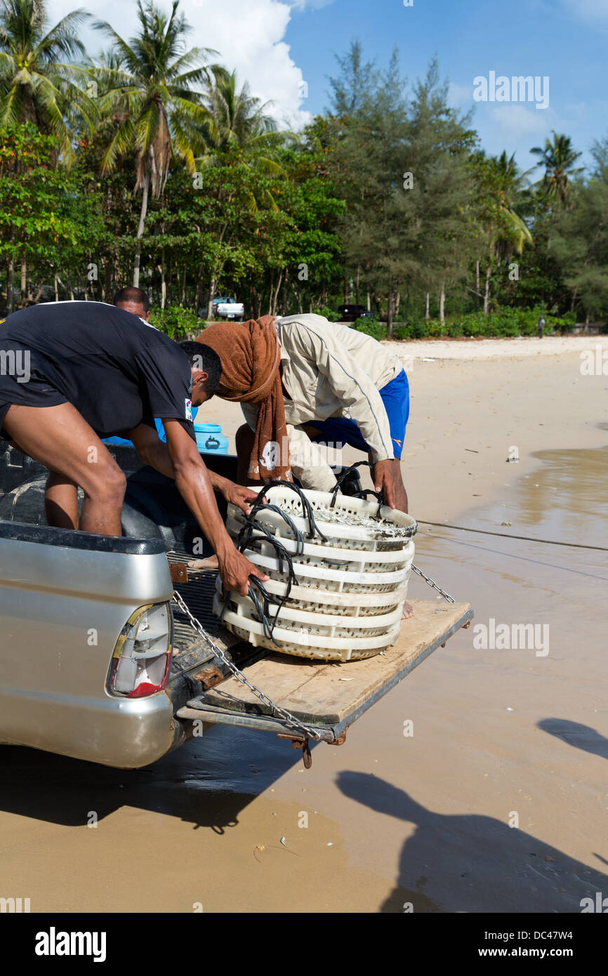 Thai Fishermen loading Fish onto a Pickup Truck on a secluded Beach in ...