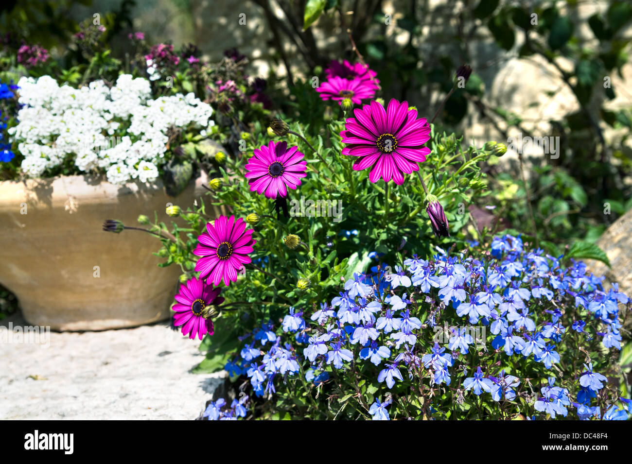 Ornamental jugs garden hi-res stock photography and images - Alamy