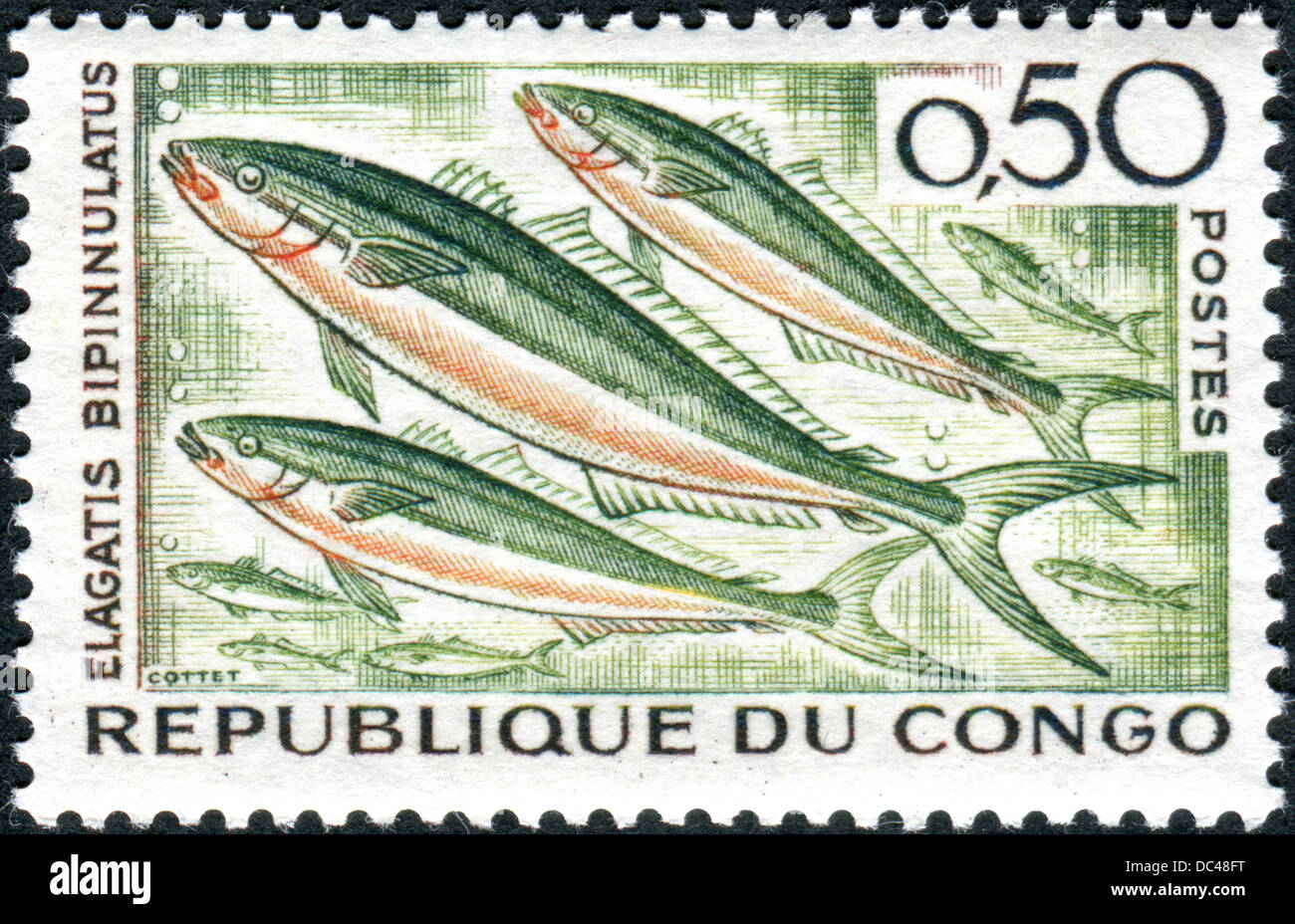 CONGO - CIRCA 1961: Postage stamp printed in the Congo, shows fish ...