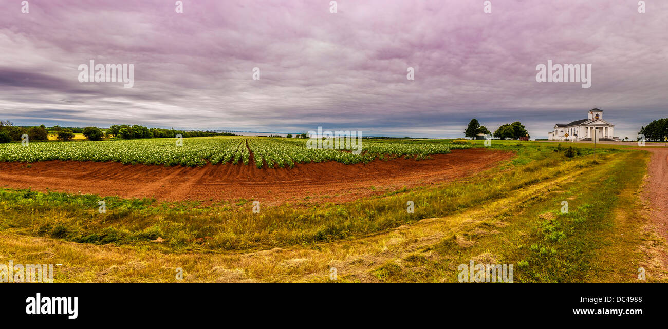 Potato field canada hi-res stock photography and images - Alamy
