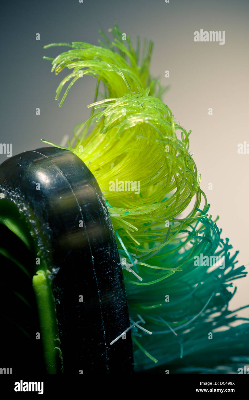 Brush tongue hi-res stock photography and images - Alamy