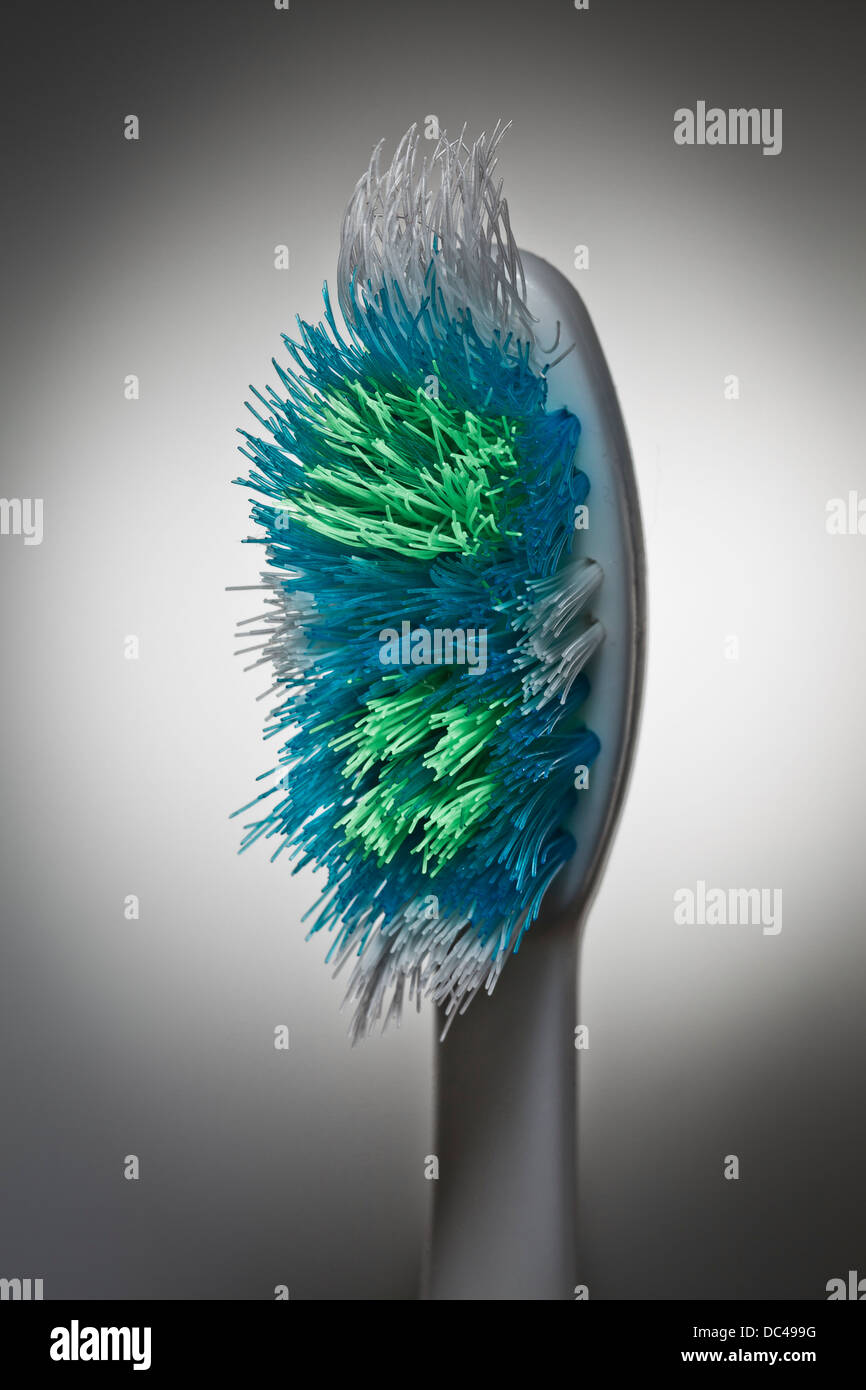 Brush tongue hi-res stock photography and images - Alamy