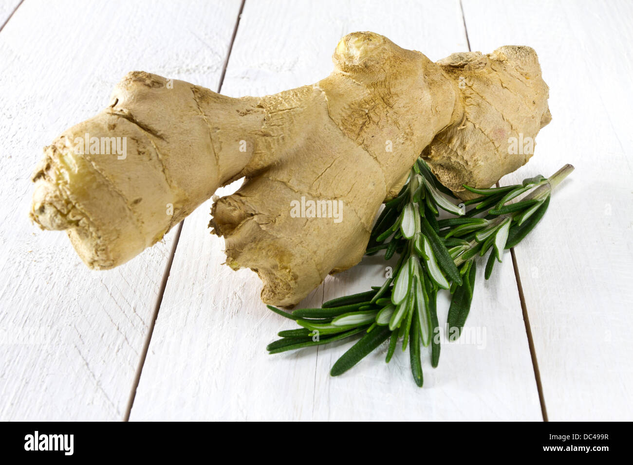 Ginger rosemary plant hi-res stock photography and images - Alamy