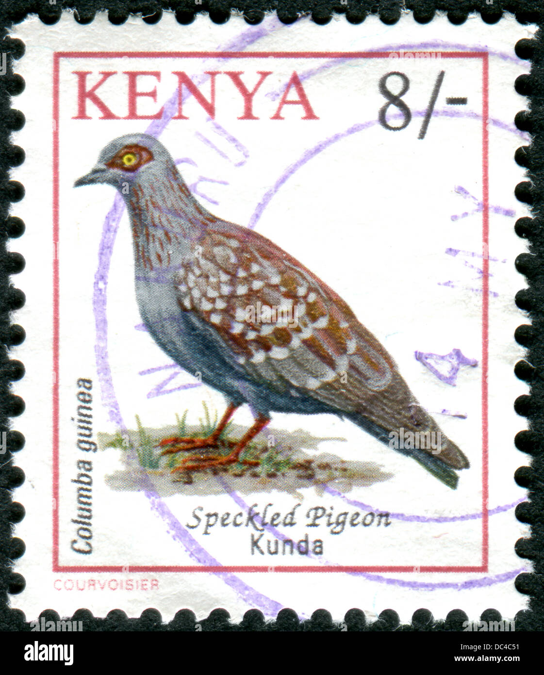 KENYA - CIRCA 1993: Postage stamp printed in Kenya shows the Speckled ...