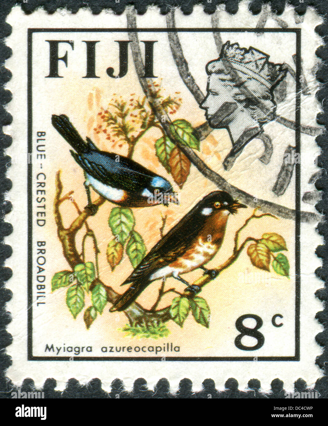FIJI - CIRCA 1971: A postage stamp printed in Fiji shows a bird Azure ...