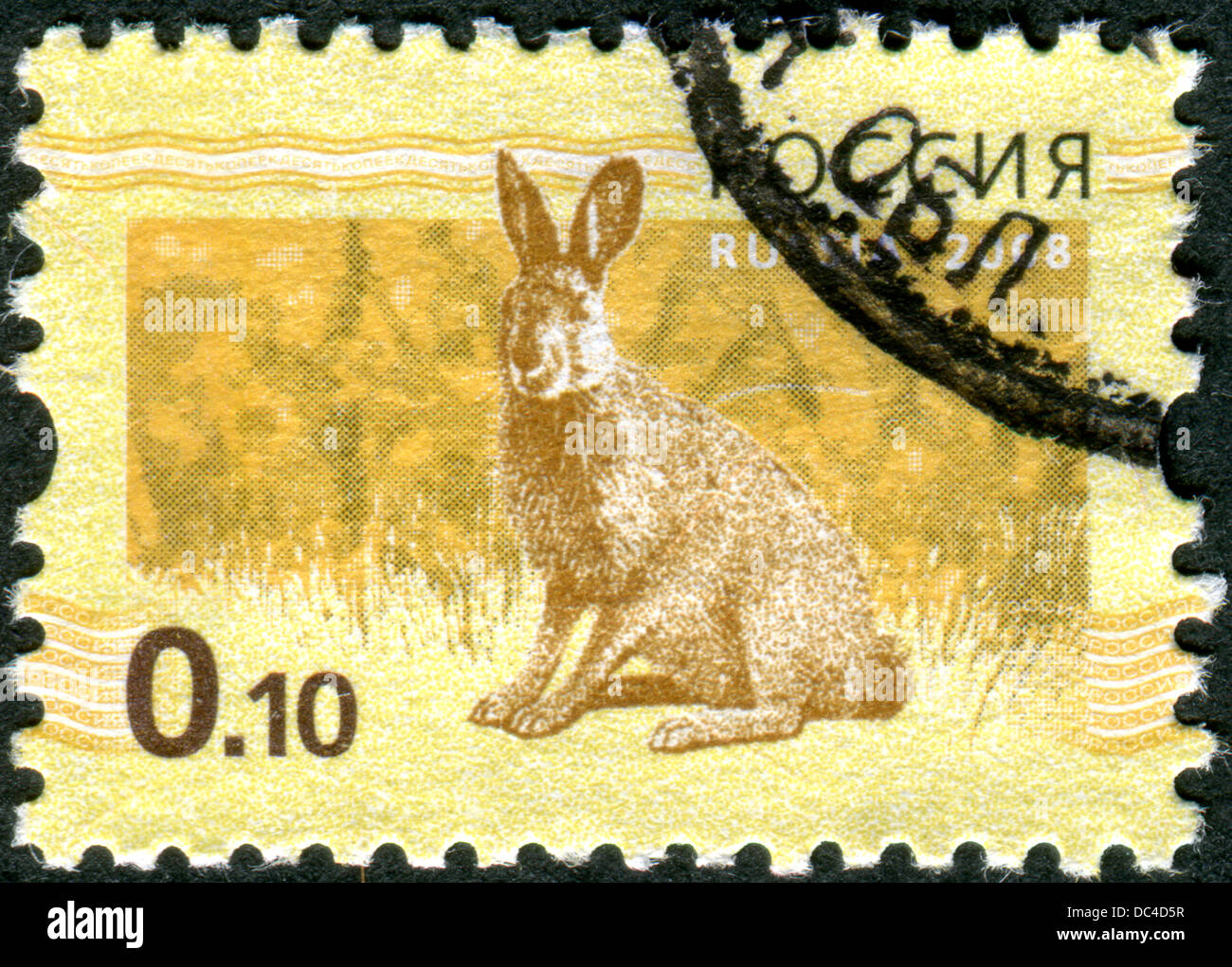 RUSSIA - CIRCA 2008: Postage stamp printed in Russia, shows a rabbit ...