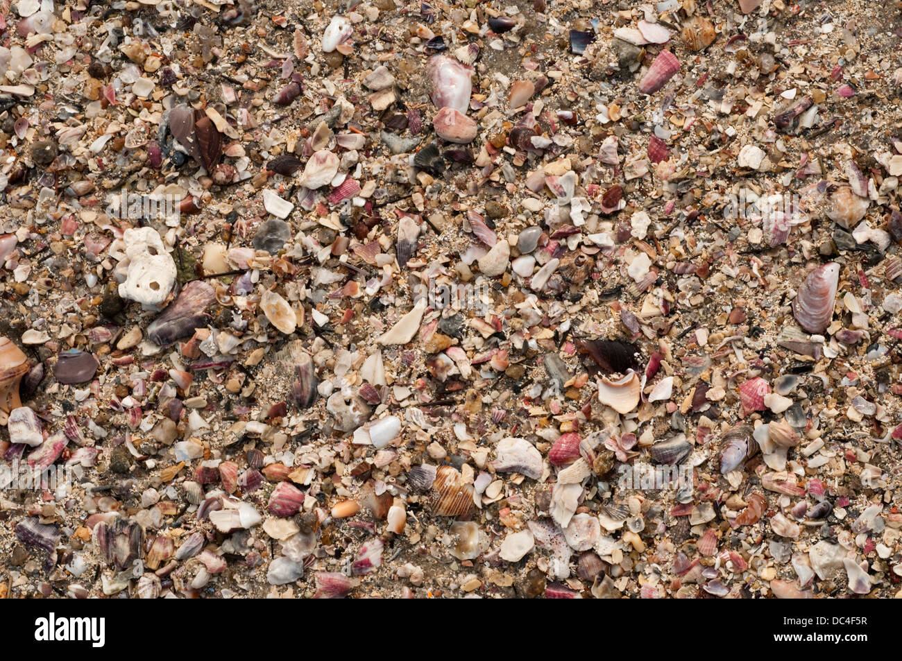 Sand details hi-res stock photography and images - Alamy