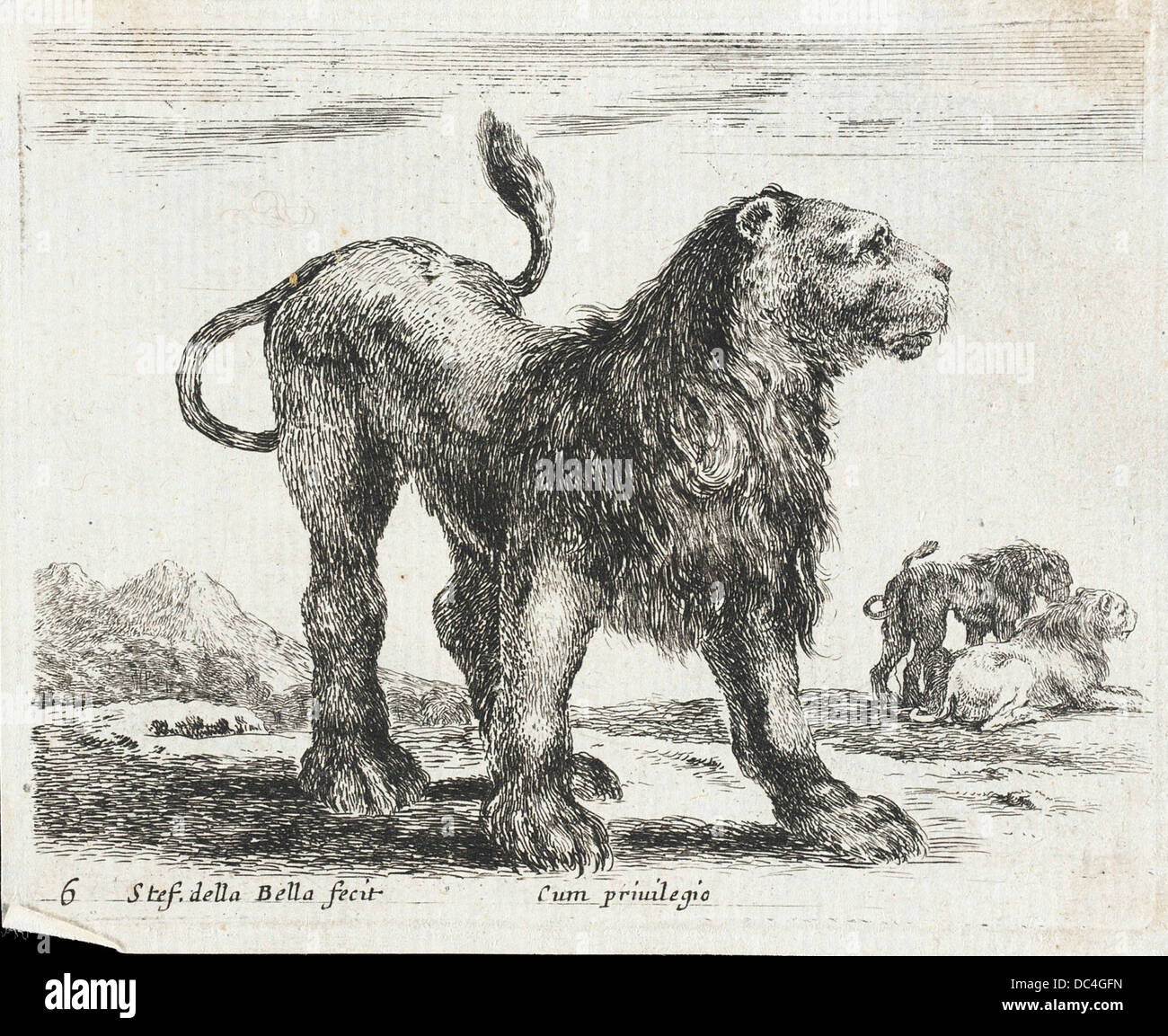 Lion m hi-res stock photography and images - Alamy