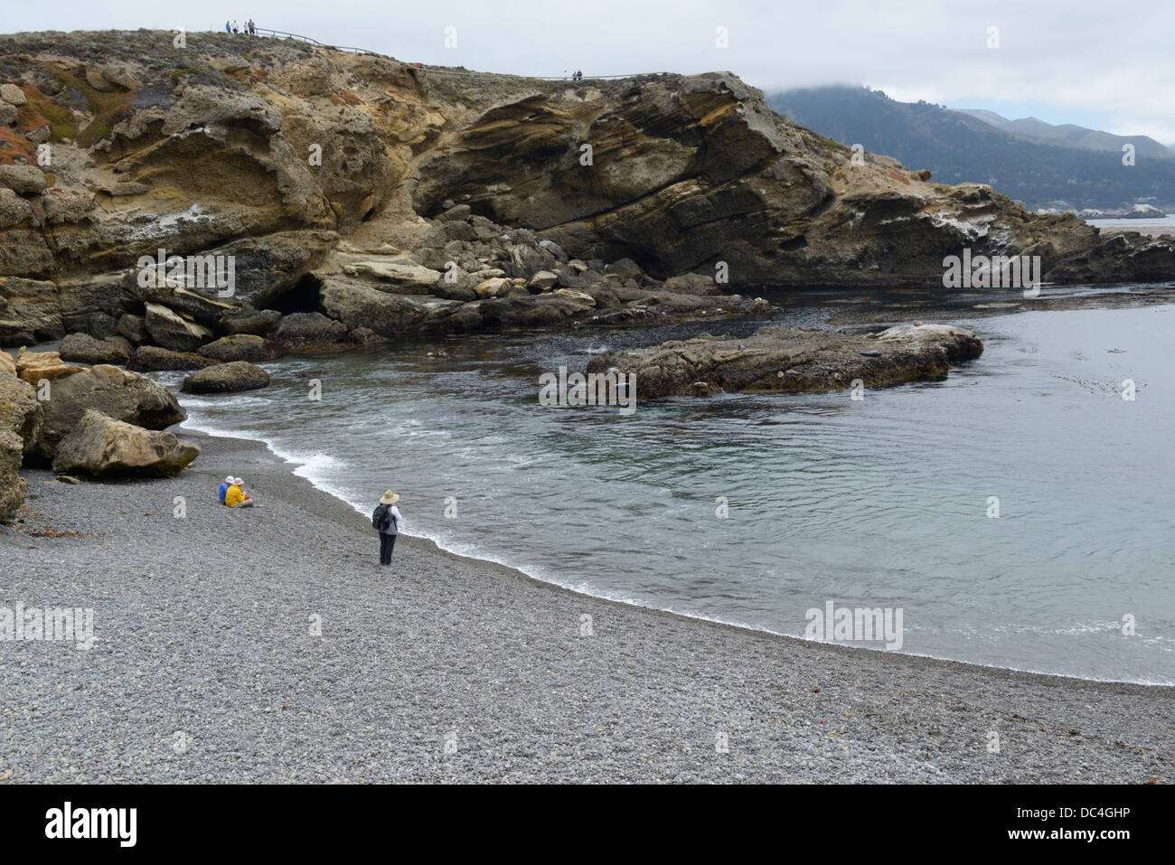 Point Lobos State Natural Reserve, CA with visitors on beach watching ...