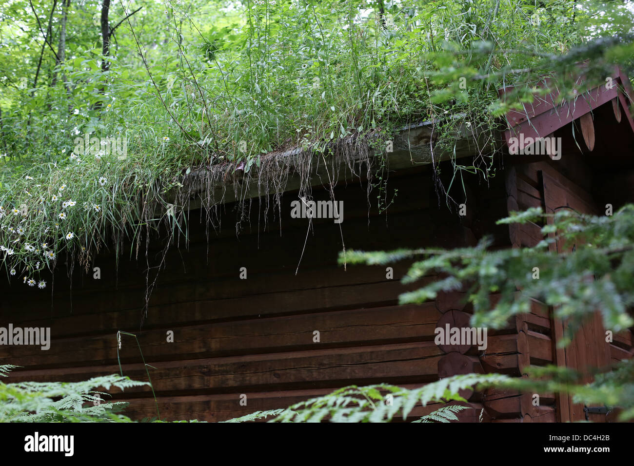 Grass covered cabin hi-res stock photography and images - Alamy