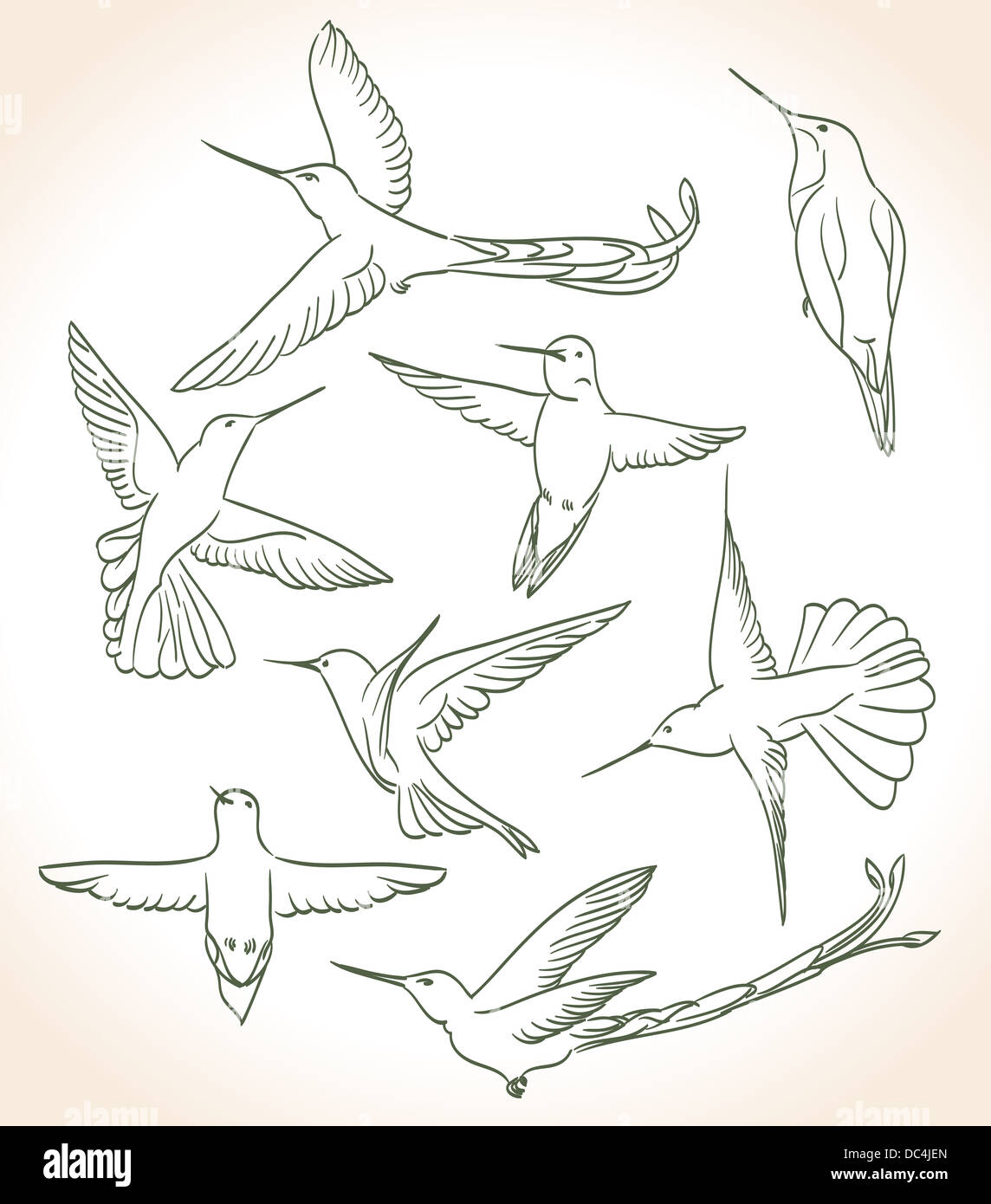 Black color line drawing hi-res stock photography and images - Alamy