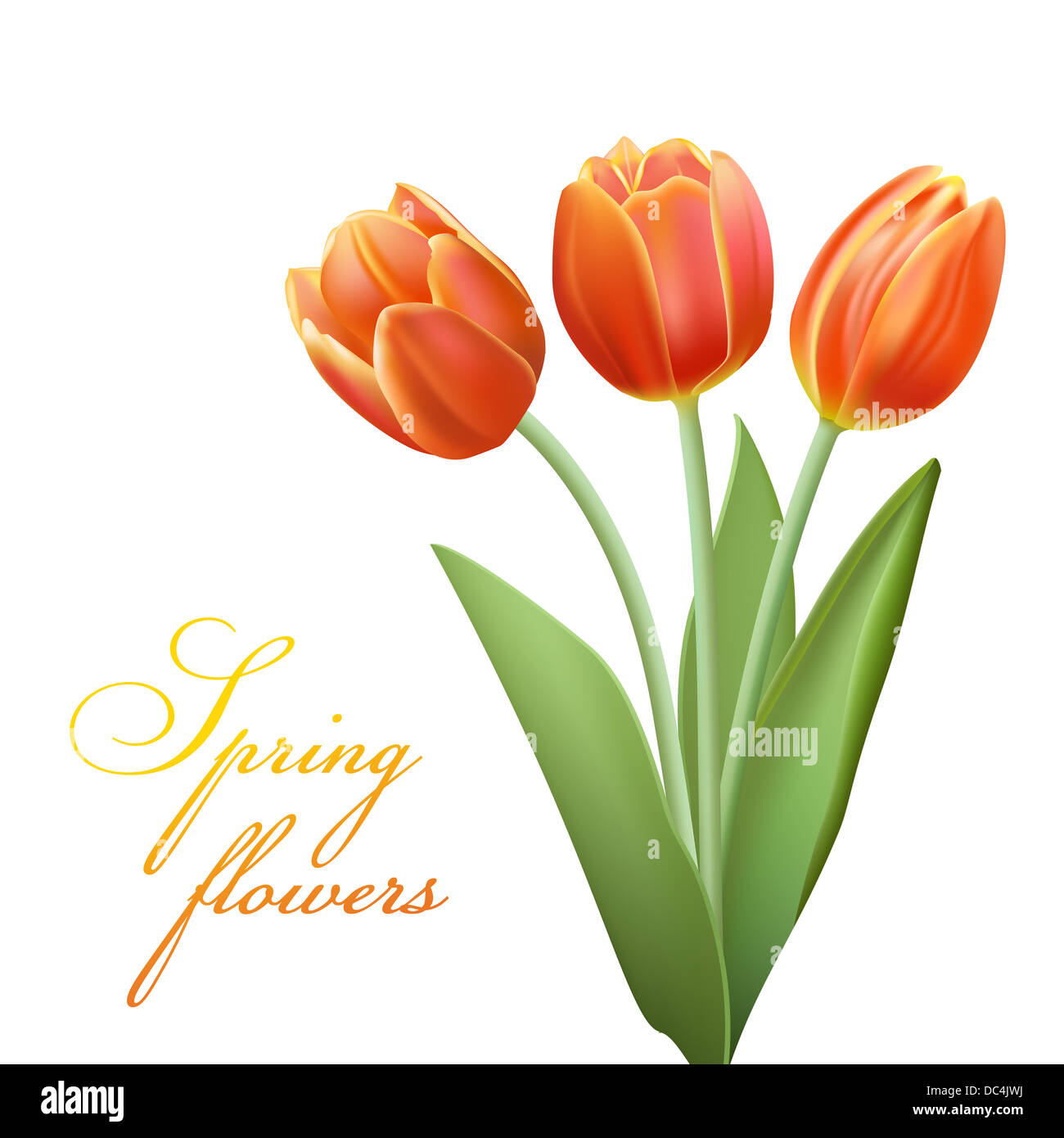 realistic tulips bouqet Stock Photo - Alamy