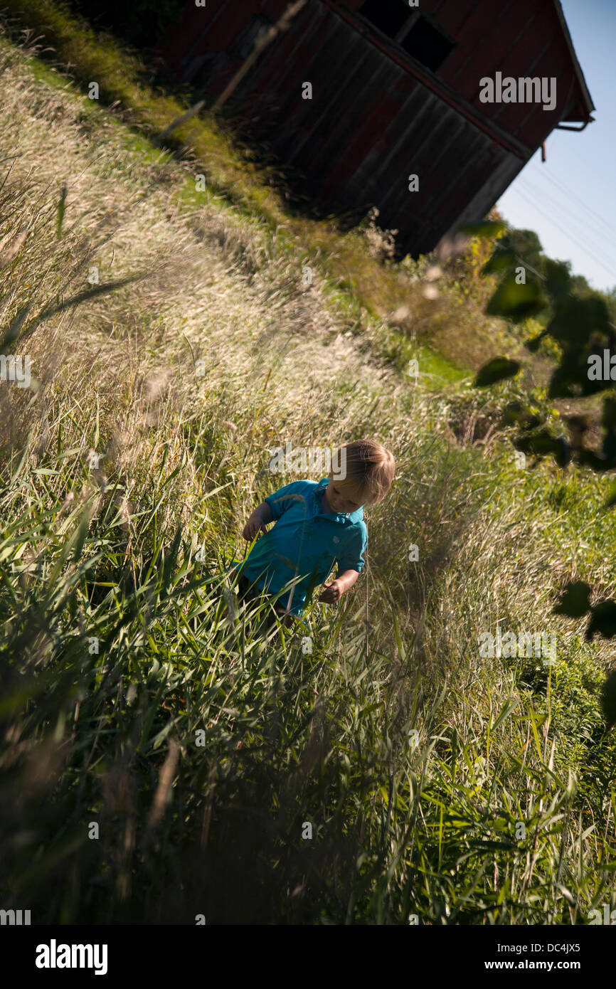 Toddler boy in grassy field at summer time Stock Photo - Alamy