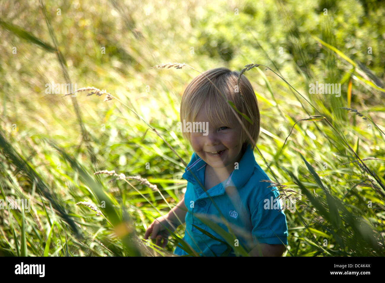 Toddler boy in grassy field at summer time Stock Photo - Alamy