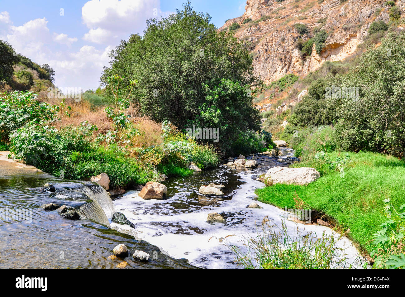 Jerusalem mountains hi-res stock photography and images - Alamy