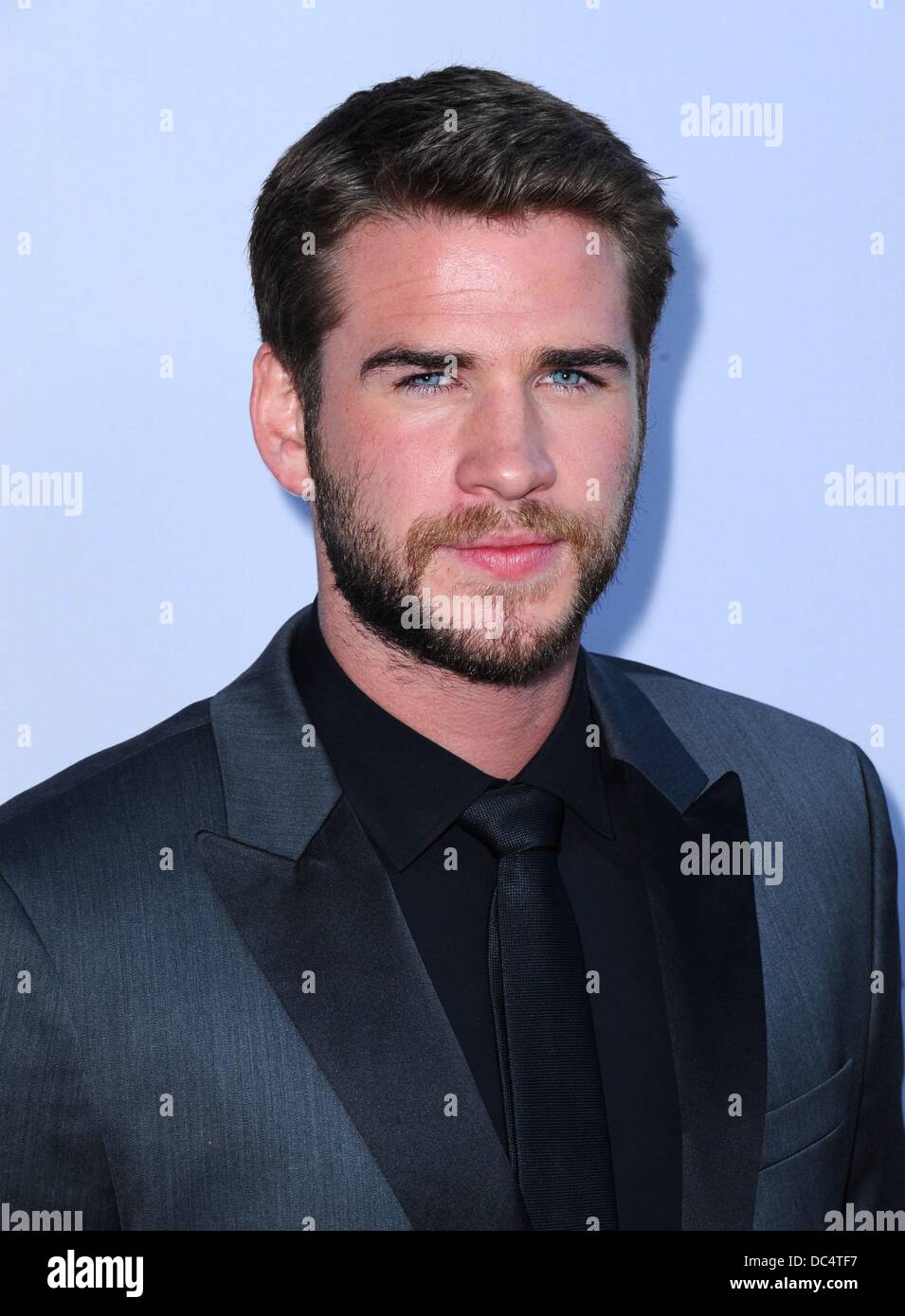 Los Angeles, CA. 8th Aug, 2013. Liam Hemsworth at arrivals for PARANOIA ...