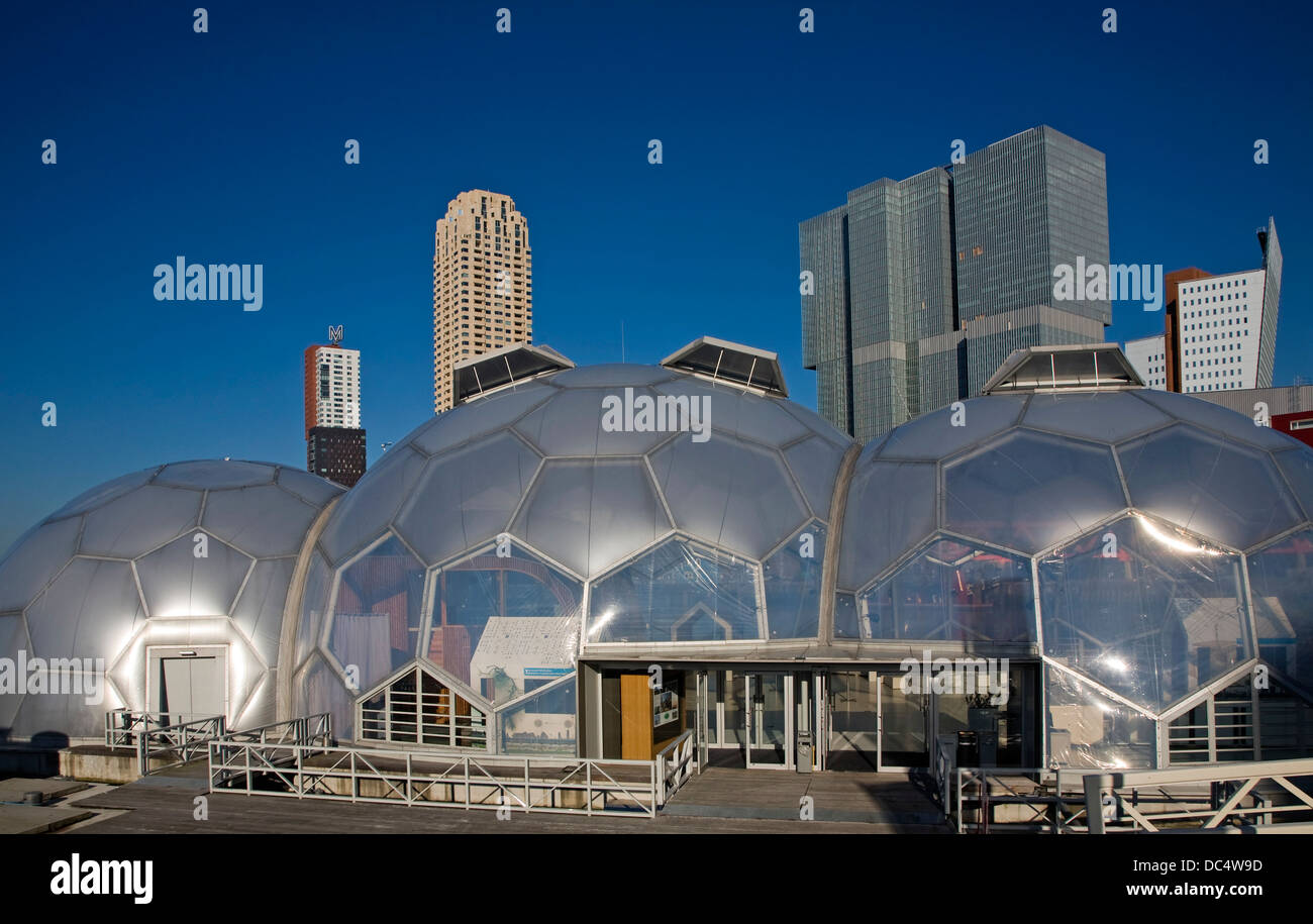 Floating Pavilion sustainable architecture Rotterdam Netherlands Stock ...