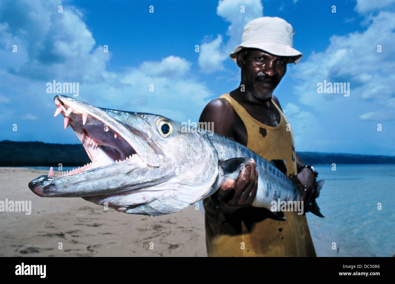 Barracuda open mouth hi-res stock photography and images - Alamy Barracuda open mouth hi-res stock photography and images - Alamy