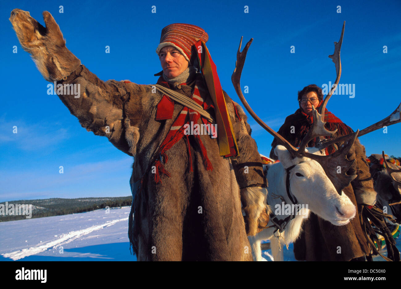 Lapps and reindeer hi-res stock photography and images - Alamy