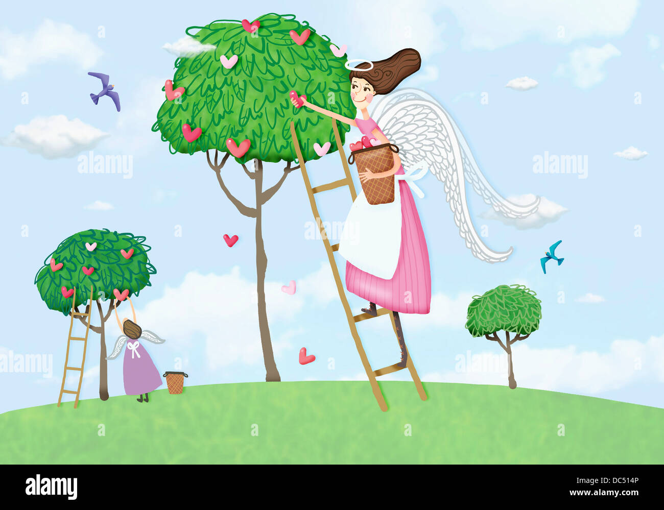 illustration of angel picking apples Stock Photo - Alamy