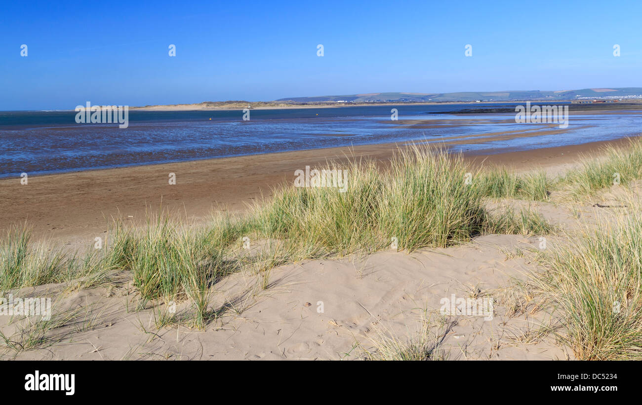 Sand dunes at Instow North Devon England UK Stock Photo - Alamy