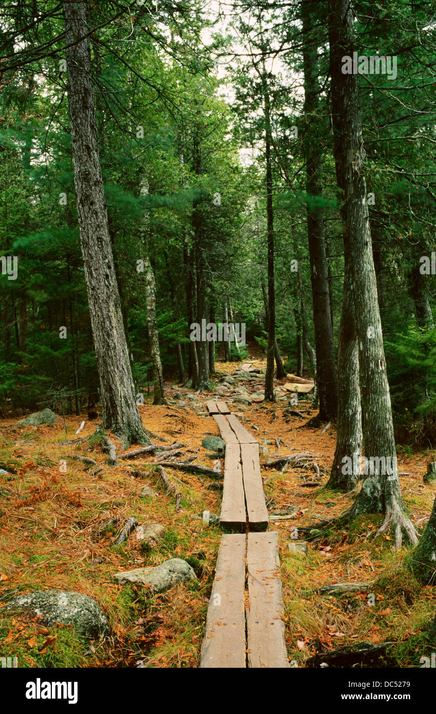 Jordan pond trail hi-res stock photography and images - Alamy