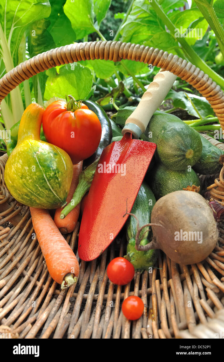 red tools in a basket with fresh vegetables from garden Stock Photo - Alamy