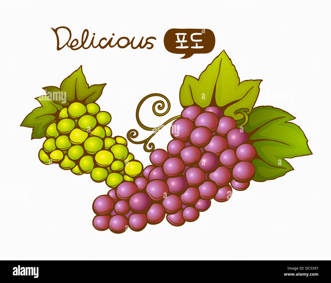 illustration of delicious grape Stock Photo - Alamy