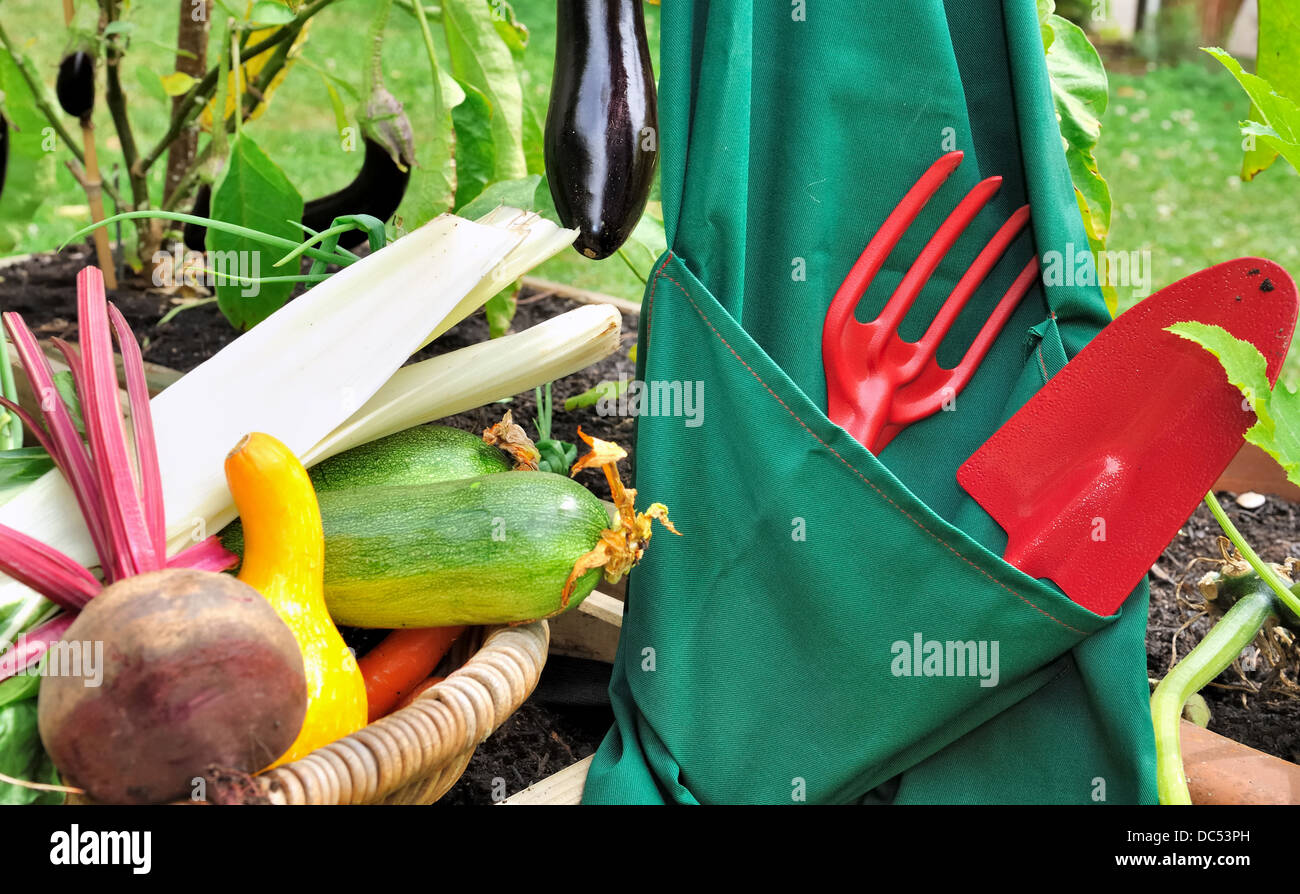 gardening tools in an apron near a basket of vegetables from the garden ...