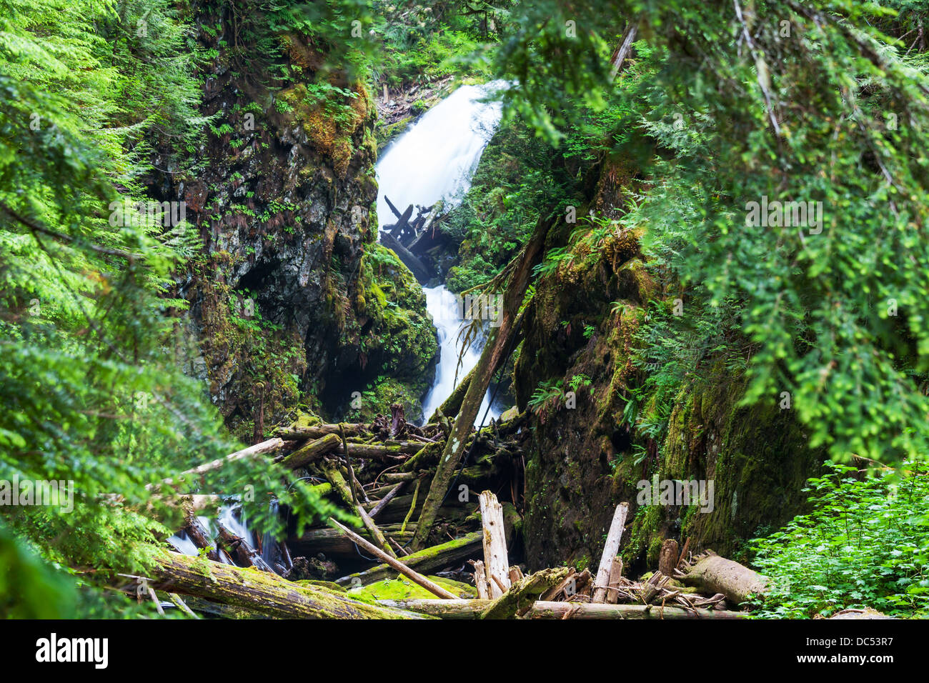 Waterfall in forest Stock Photo - Alamy