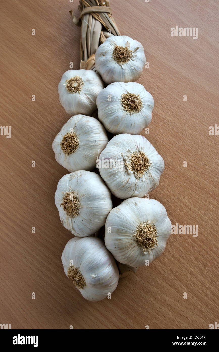 Grappe of Garlic Stock Photo - Alamy