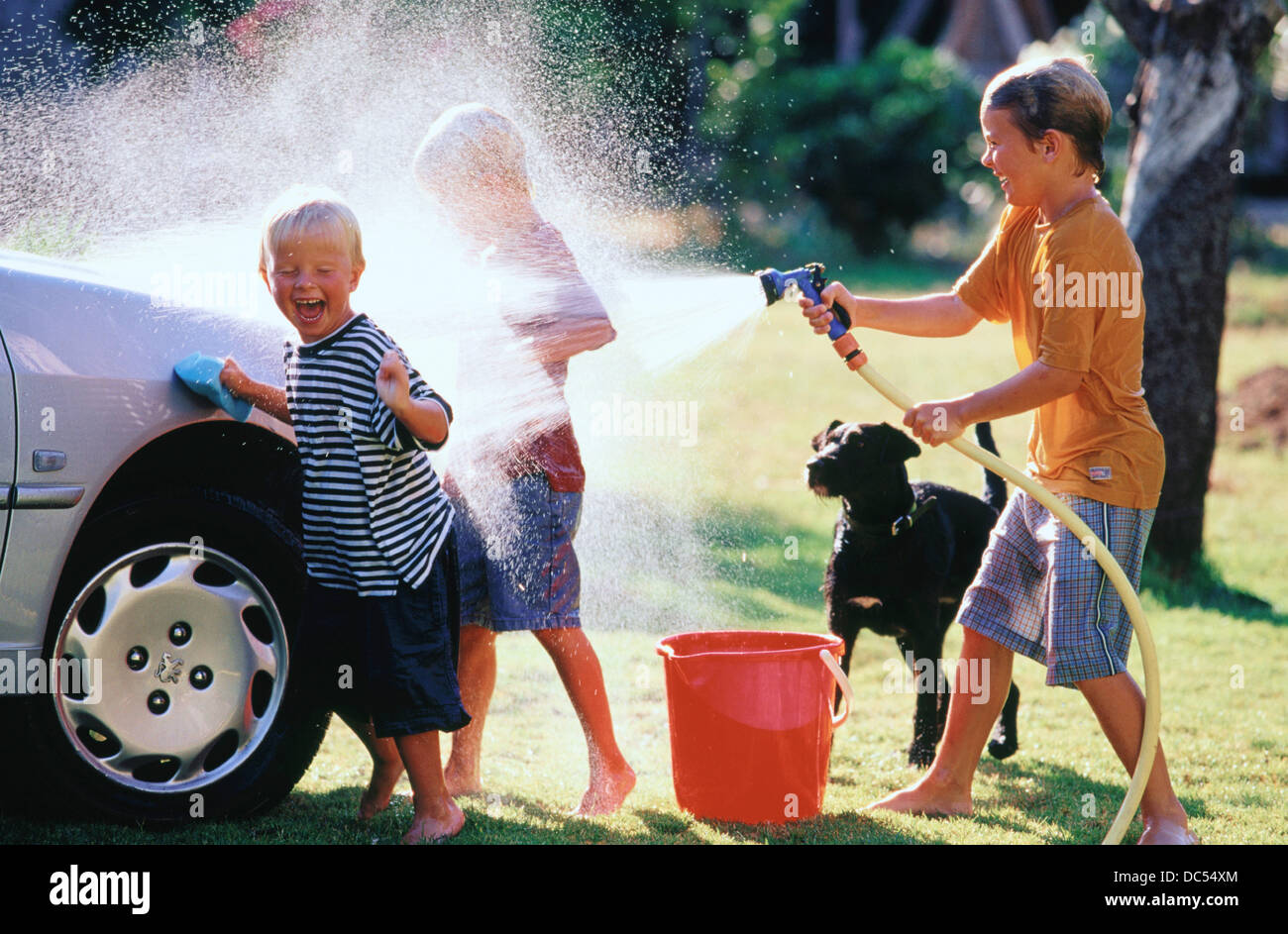 Children washing dog hi-res stock photography and images - Alamy